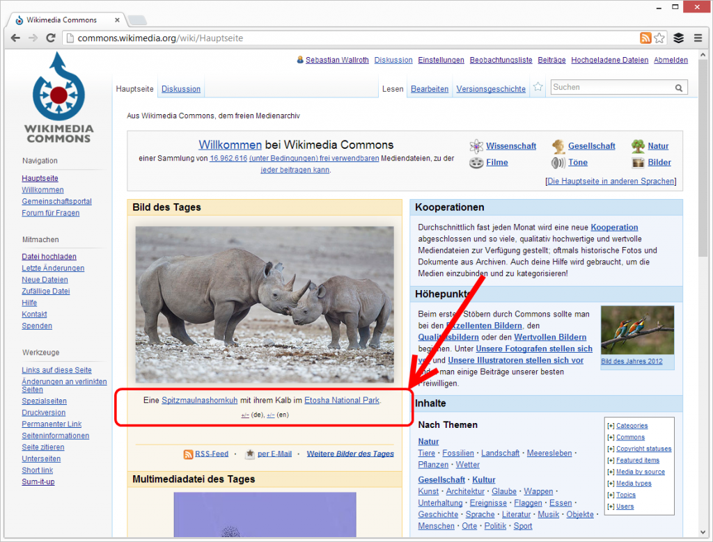 Wie Du in zehn Schritten zum Übersetzer der meistgelesenen ...